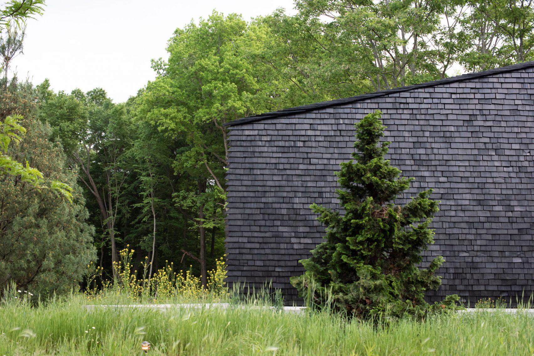 Tar-coated shingles cover Hudson Valley cottages by Thomas Phifer and ...