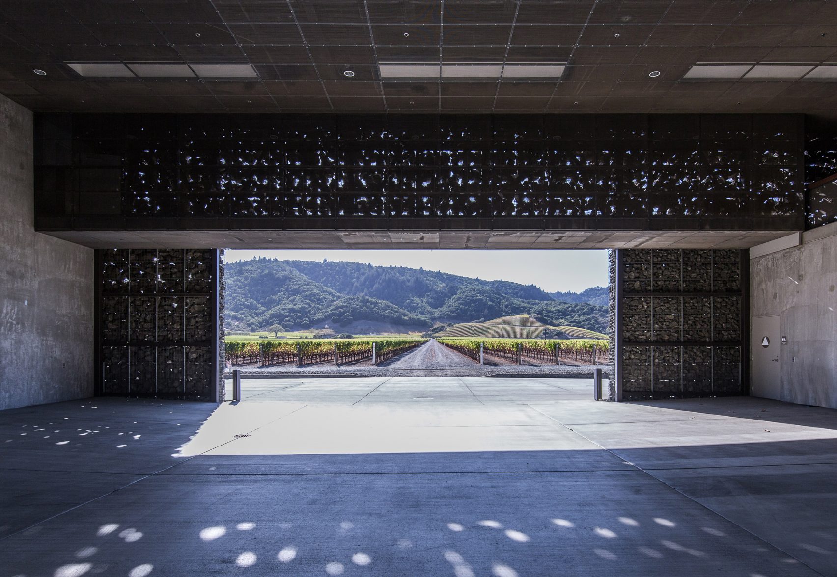 Herzog And De Meurons Dominus Winery Captured In New Photos 20 Years After Completion