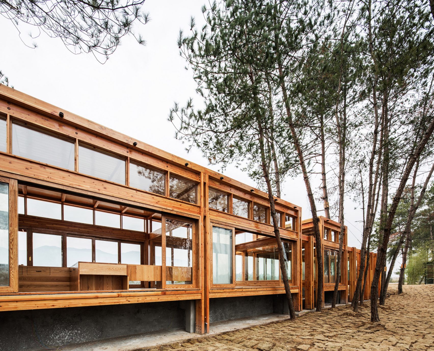 Dna Design And Architecture Build Riverside Visitor Centre Around Trees