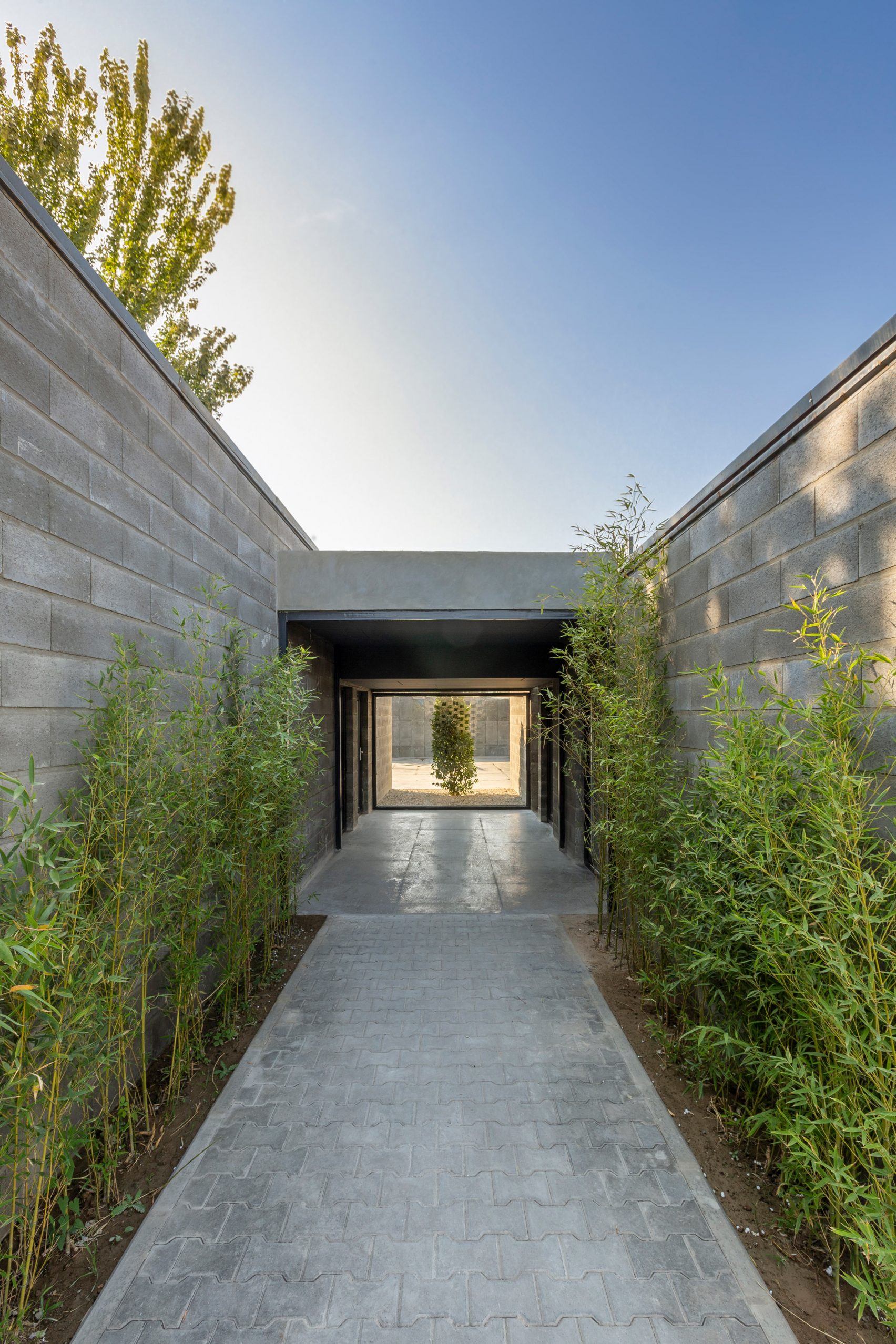 Hooba Design Group arranges concrete showroom in Iran around fish pond ...