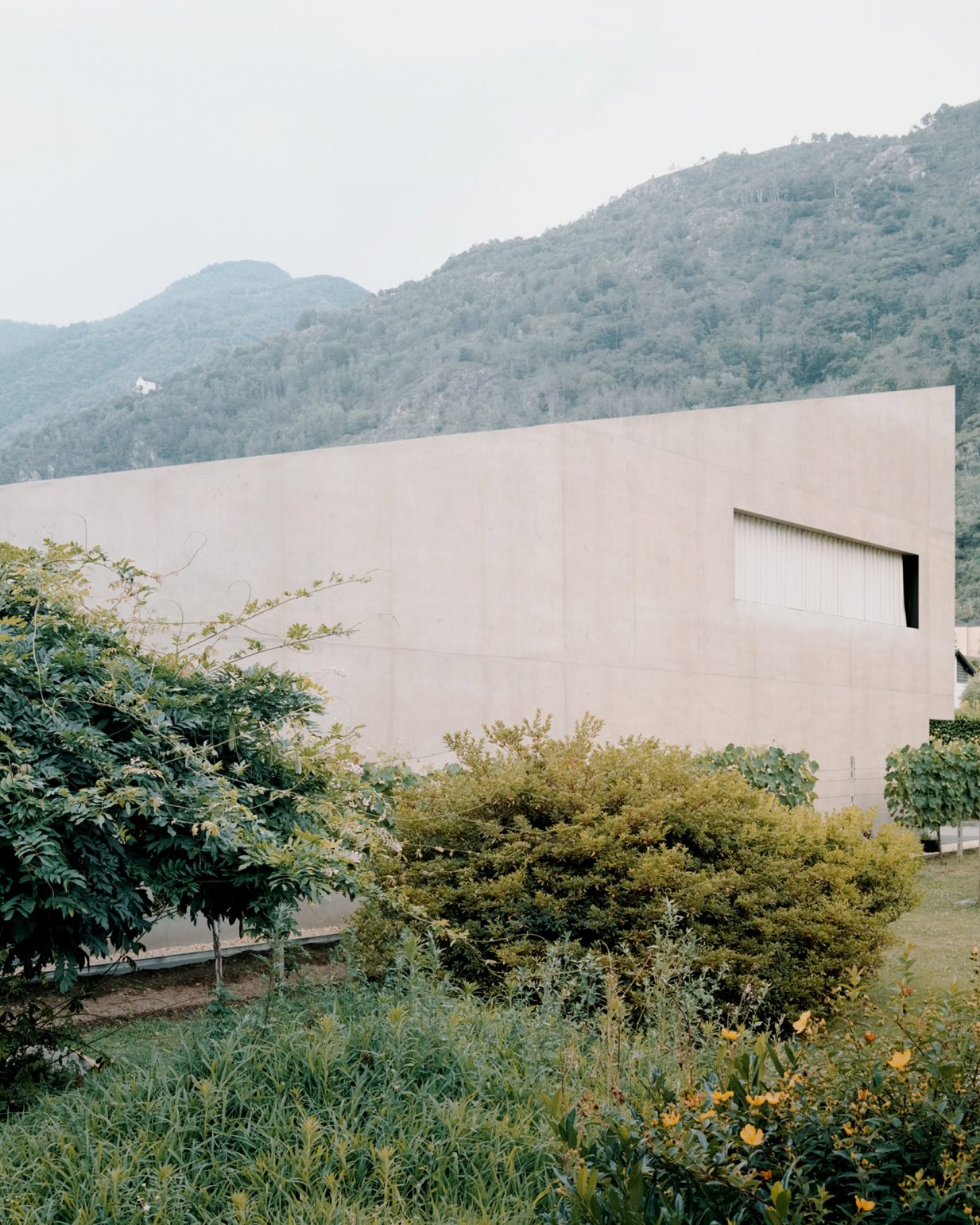 decmyk: Monolithic concrete walls enfold minimalist Pyramid House in ...