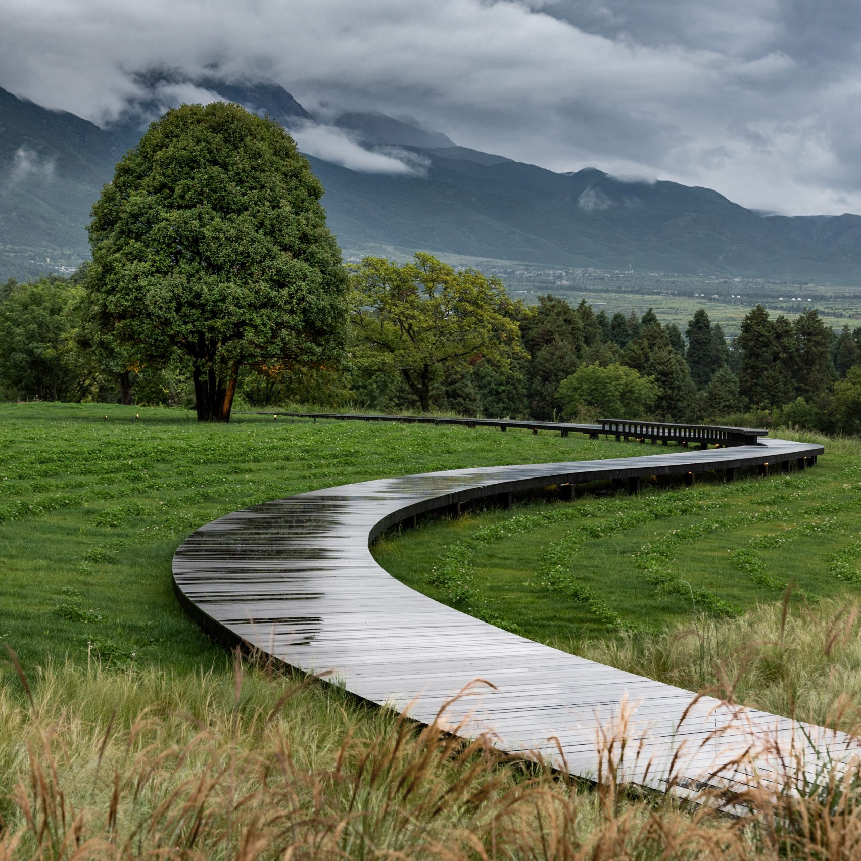 Z'scape designs Hylla Alpine Garden as a "place of comfort, solitude ...