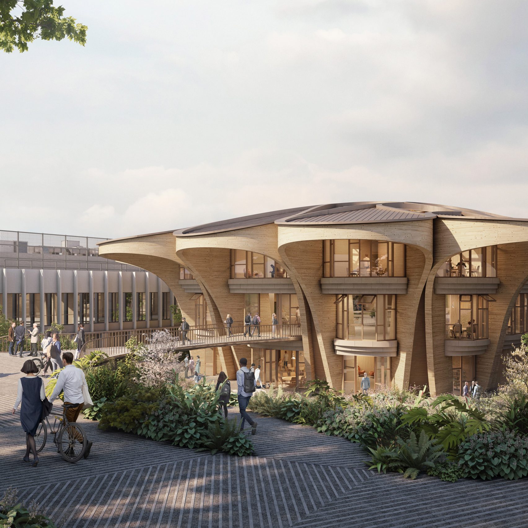 decmyk: Heatherwick Studio proposes timber centrepiece for pharma ...