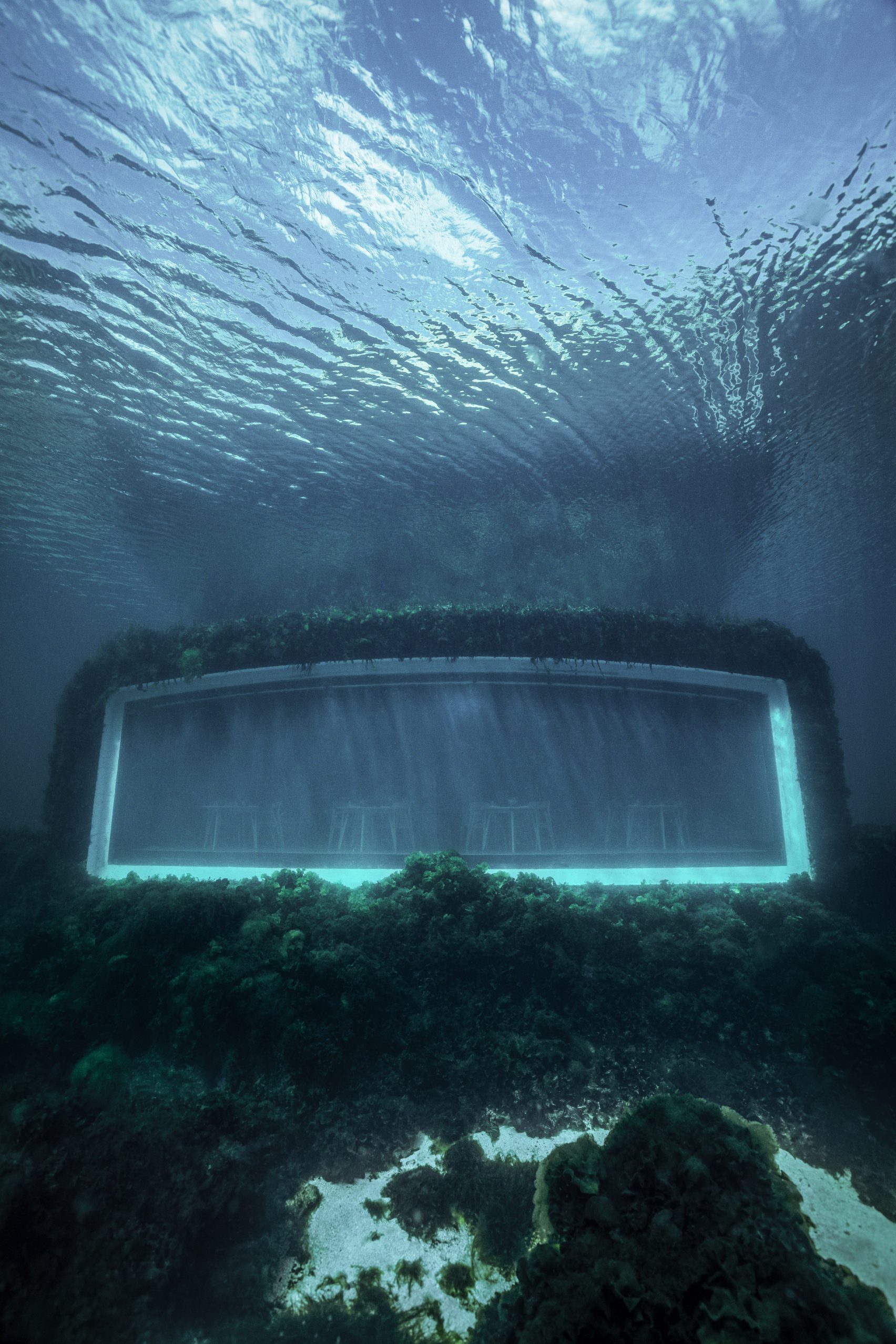 Underwater Restaurant The Maldives' Largest Under Ocean Restaurant