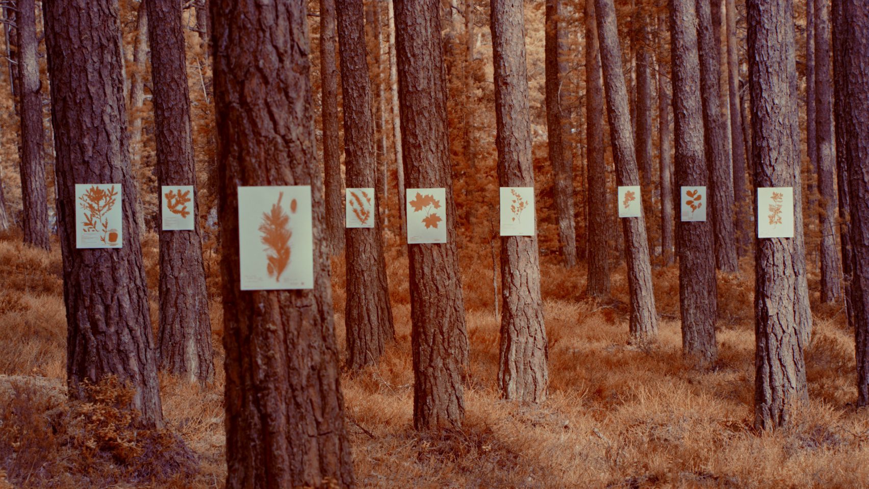 Design trend predictions for 2024 include rush for sustainable ...