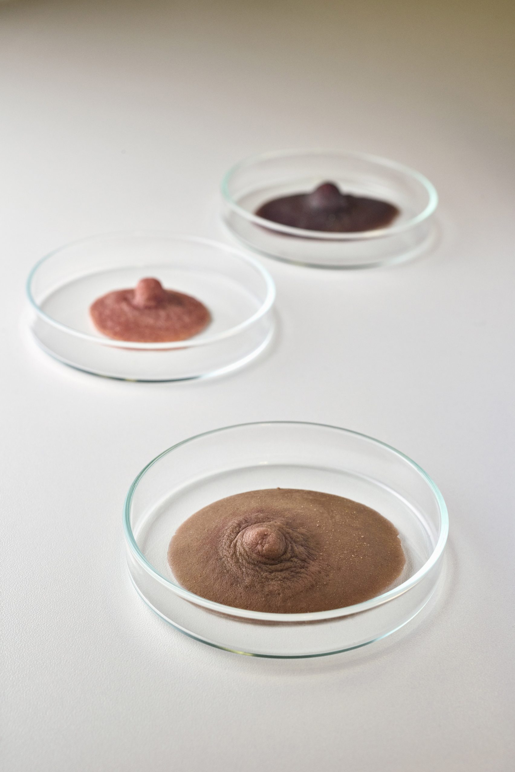 Bioprosthesis Uses Human Hair To Create Prosthetic Nipples