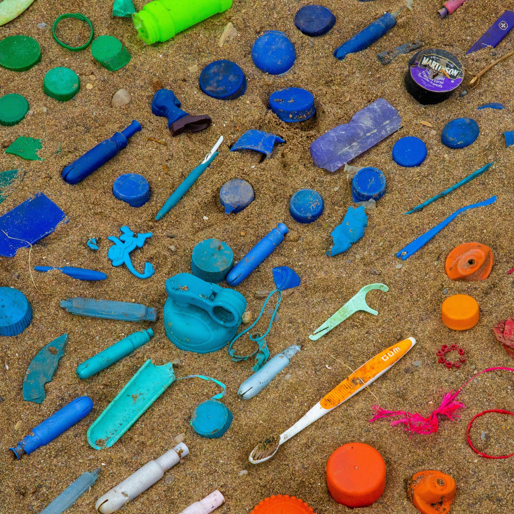 Shellworks turns discarded lobster shells into recyclable bioplastic ...