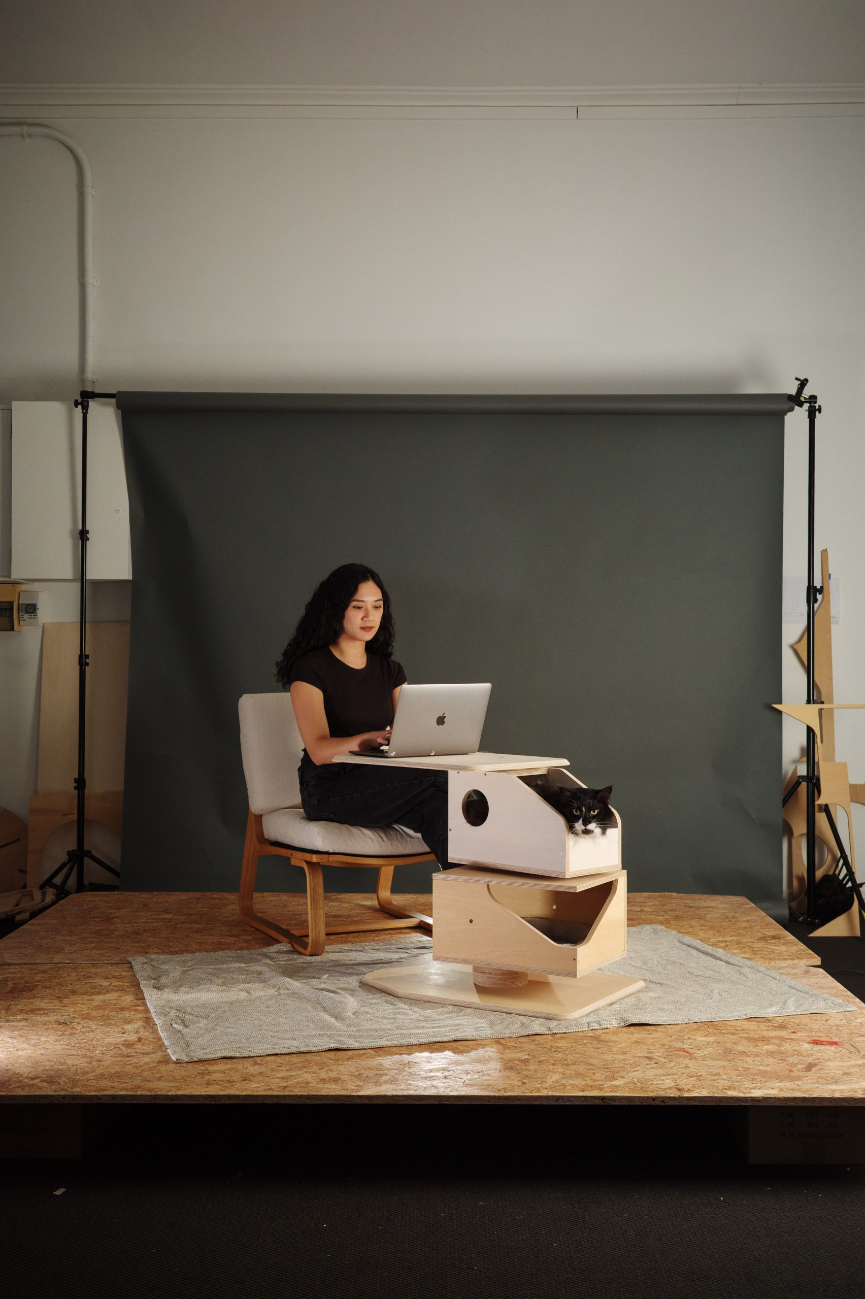Multifunctional Pet Furniture designed for animals in small apartments