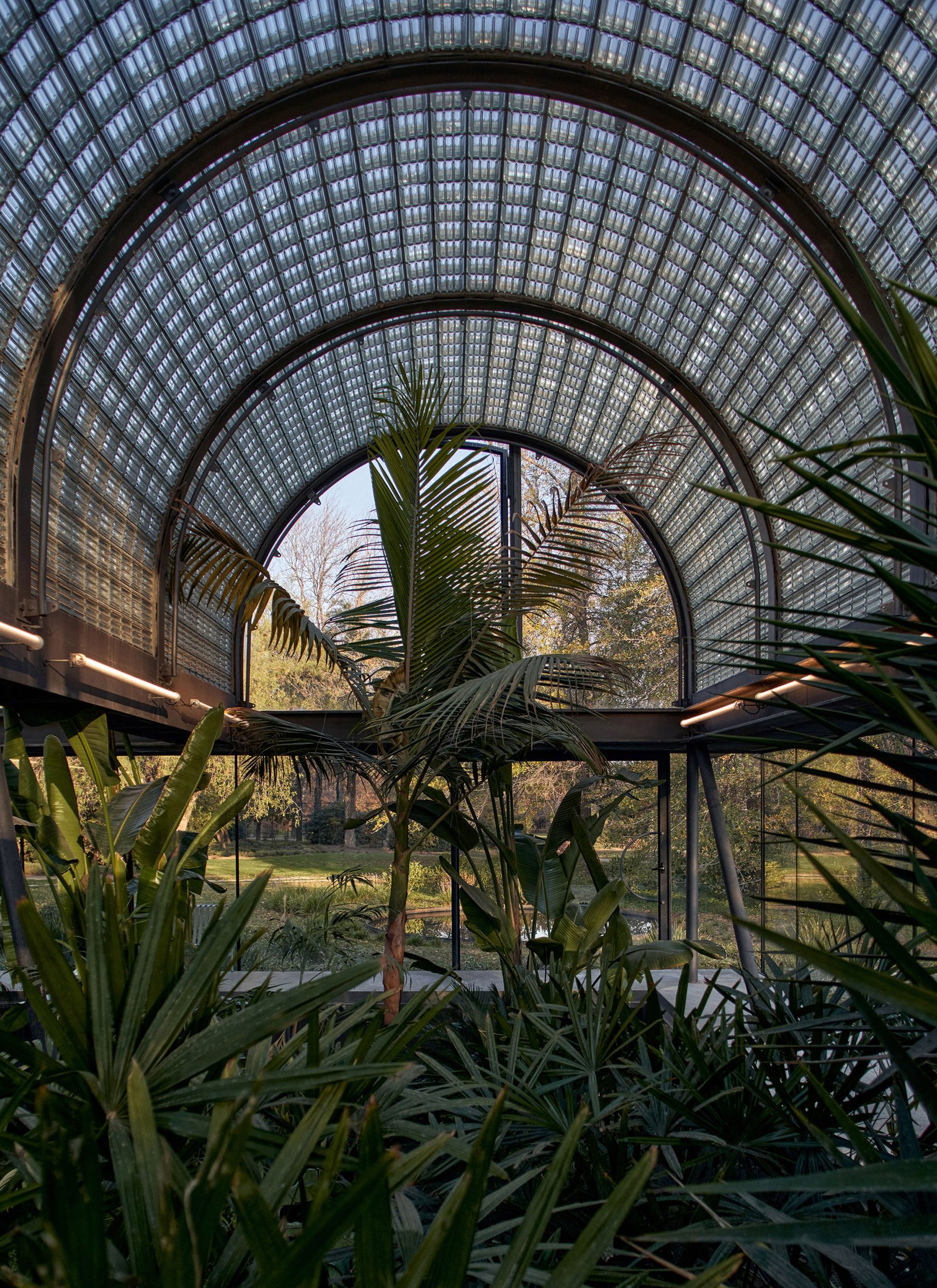 El invernadero diseñado por Max Núñez Arquitectos presenta un techo ...