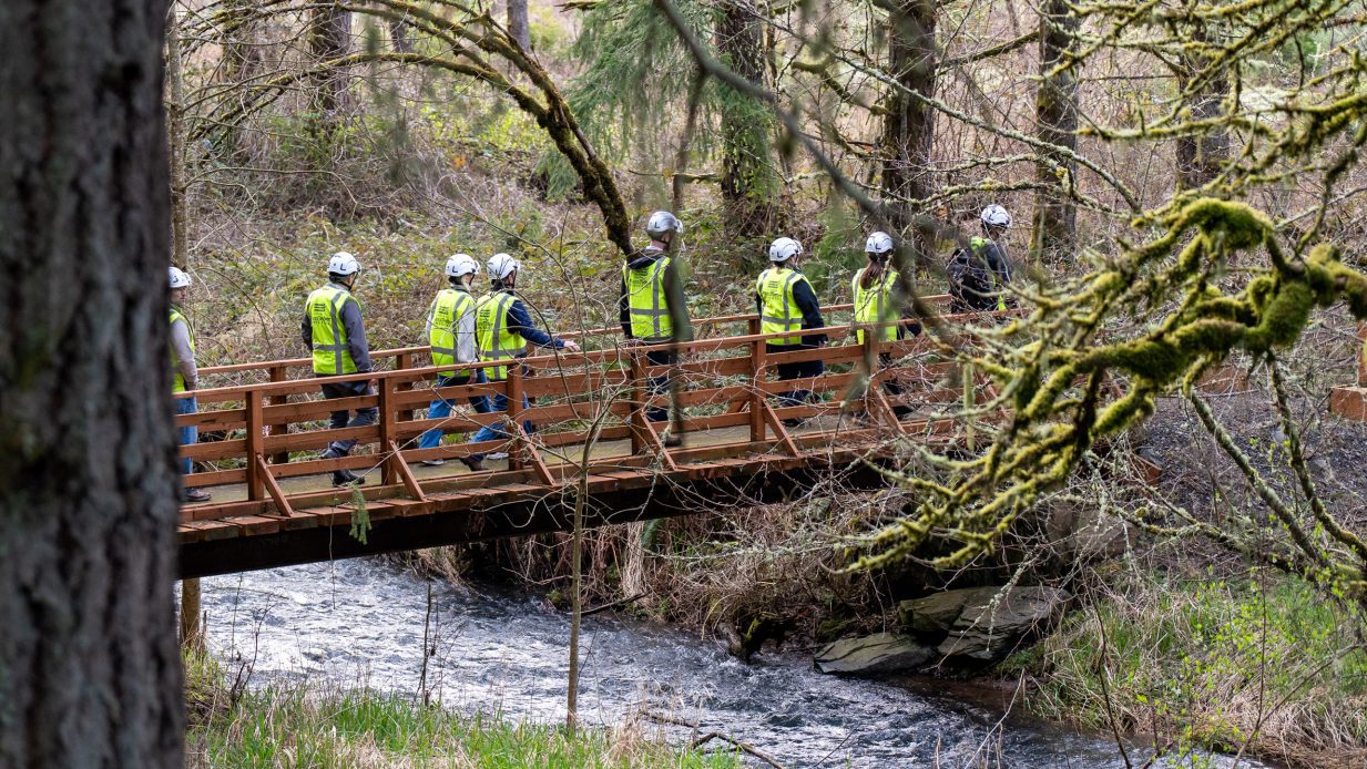 International Mass Timber Conference 2026 | Dezeen Events Guide