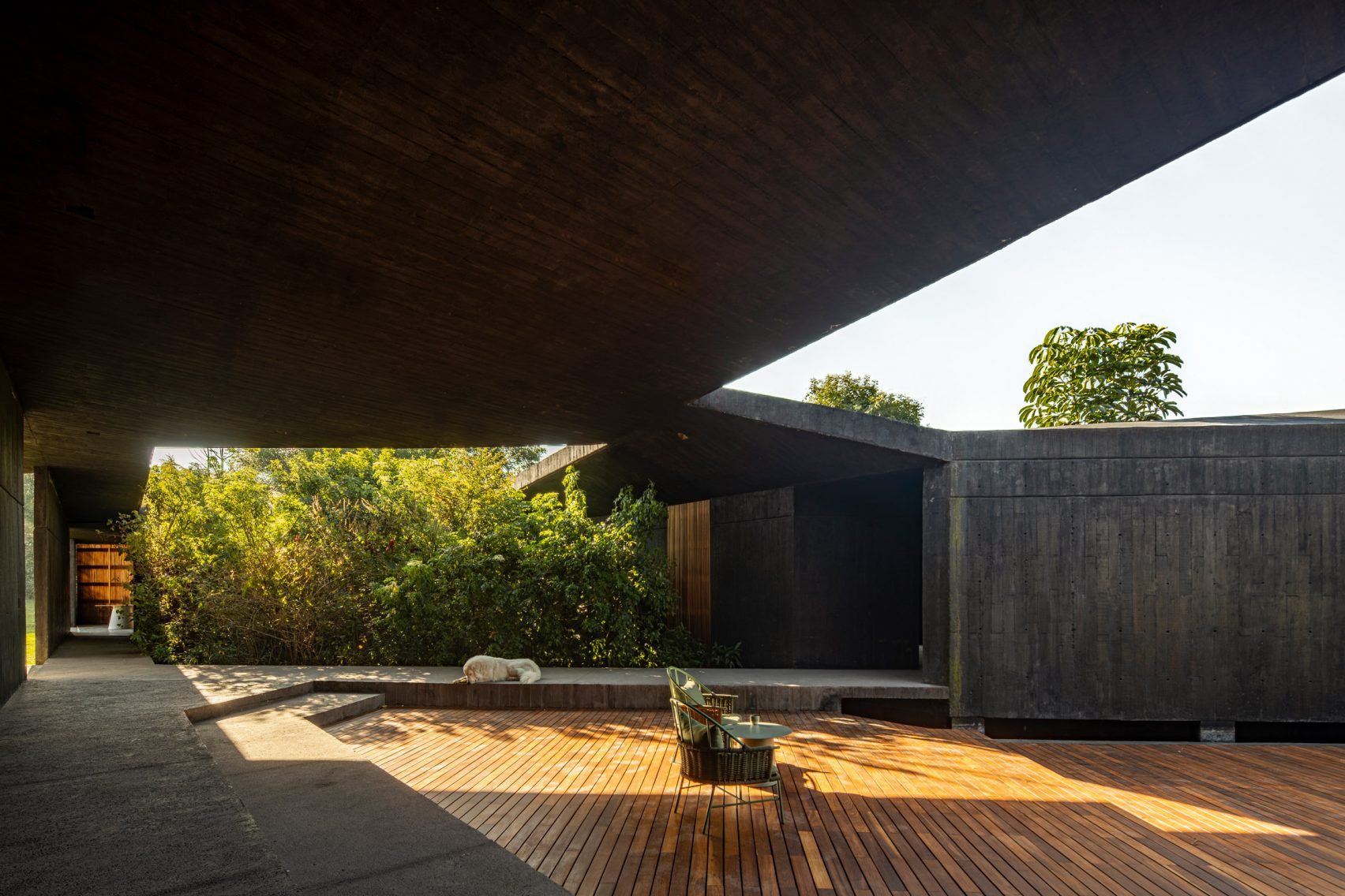 Taller Alberto Calleja uses black concrete for Casa Mavra in Mexico