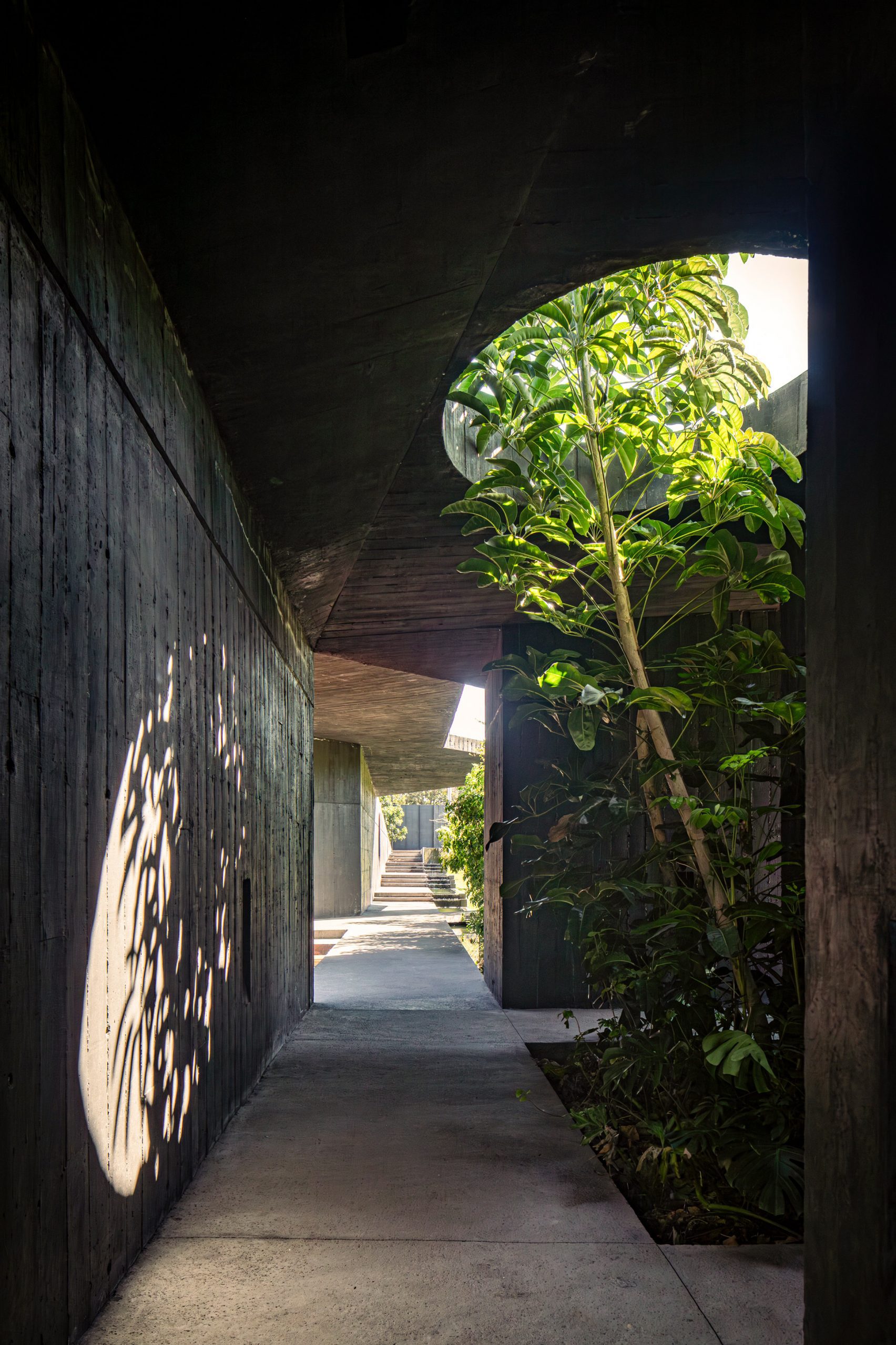 Taller Alberto Calleja uses black concrete for Casa Mavra in Mexico